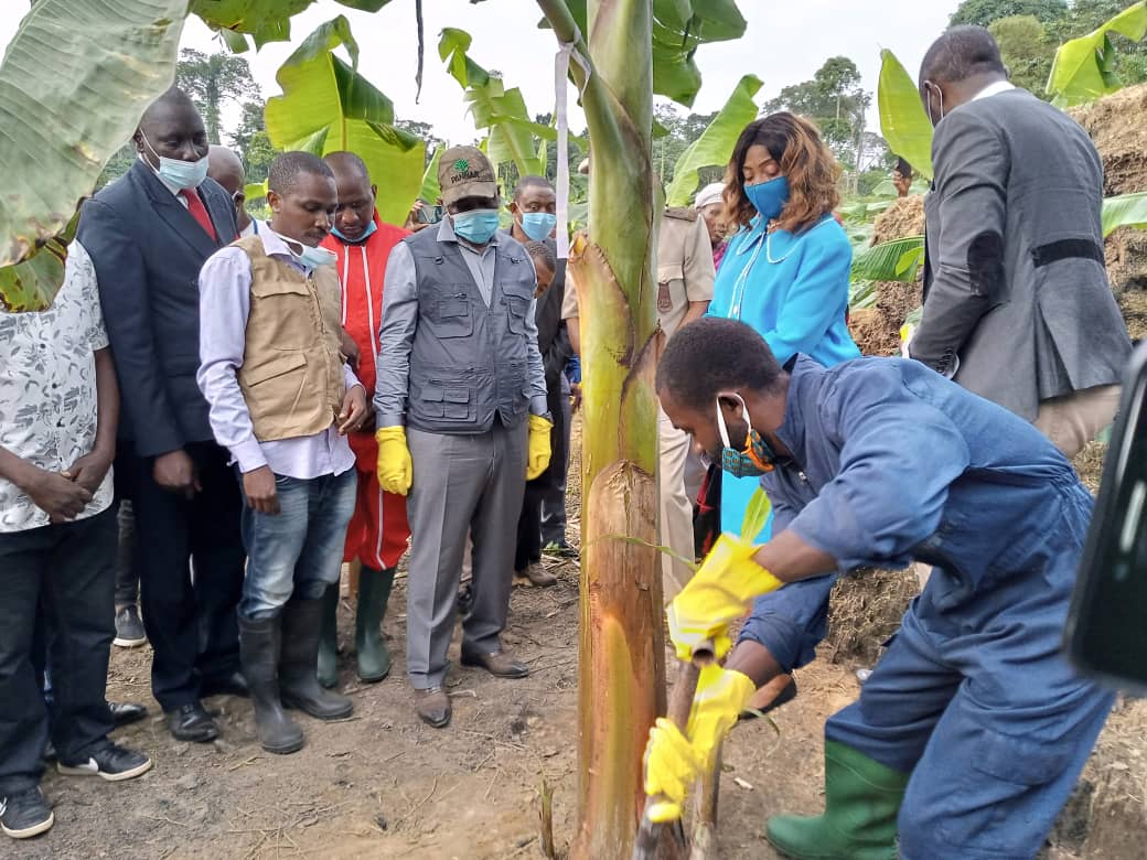 MINADER - IMG-20200817-WA0057