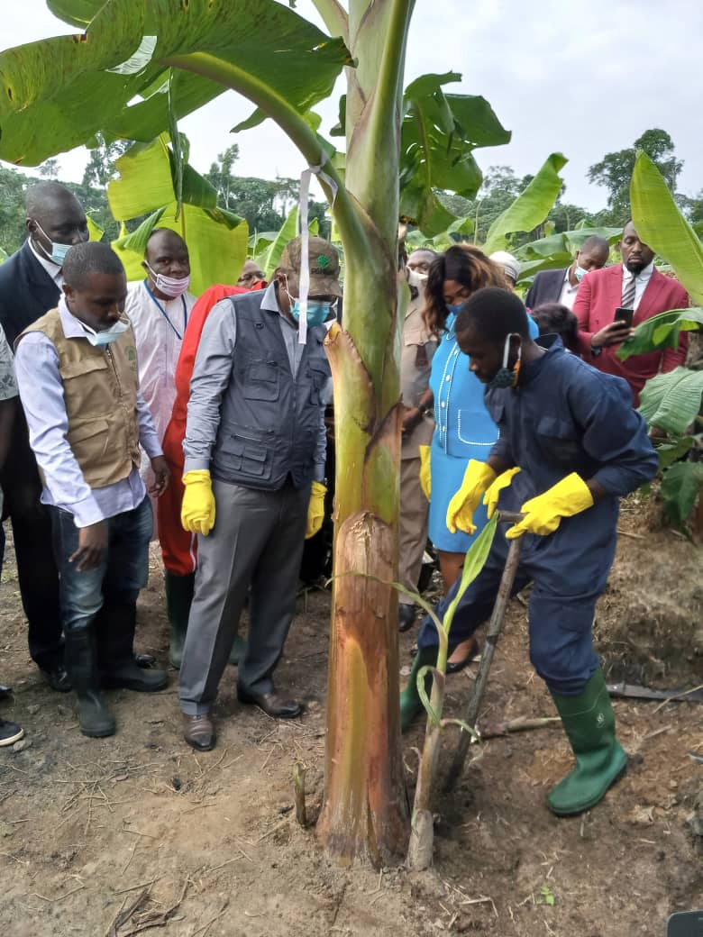 MINADER - IMG-20200817-WA0072