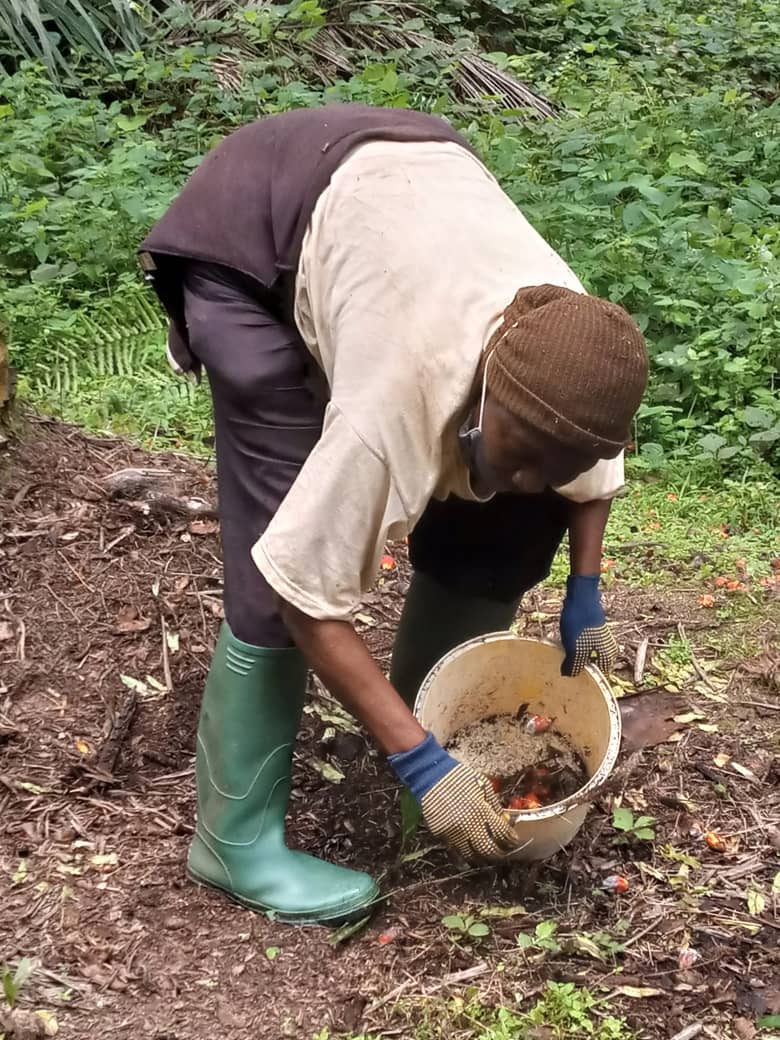 MINADER - IMG-20200817-WA0080