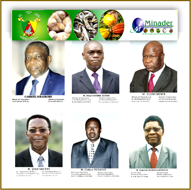 MINADER - Minader Infos N°001: La rétro