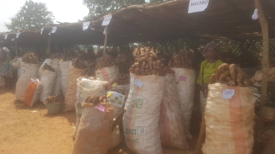 MINADER - IMG-20201221-WA0020