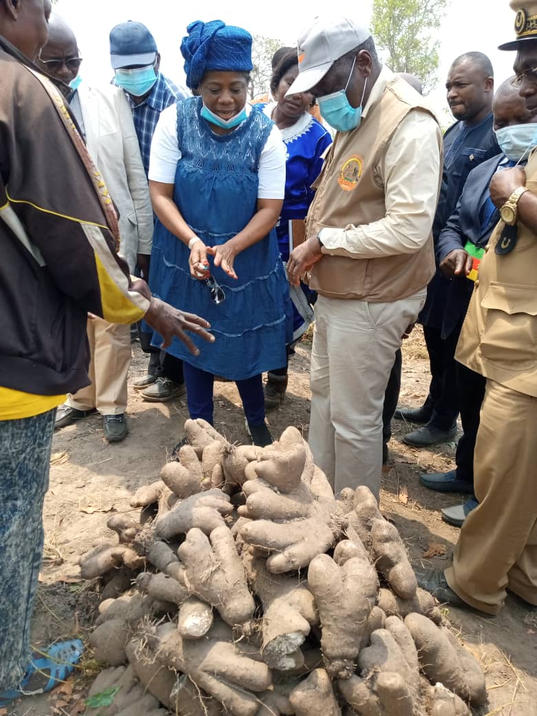MINADER - Visite du Minader à Mbangassina dans le Mbam et Kim, Région ...