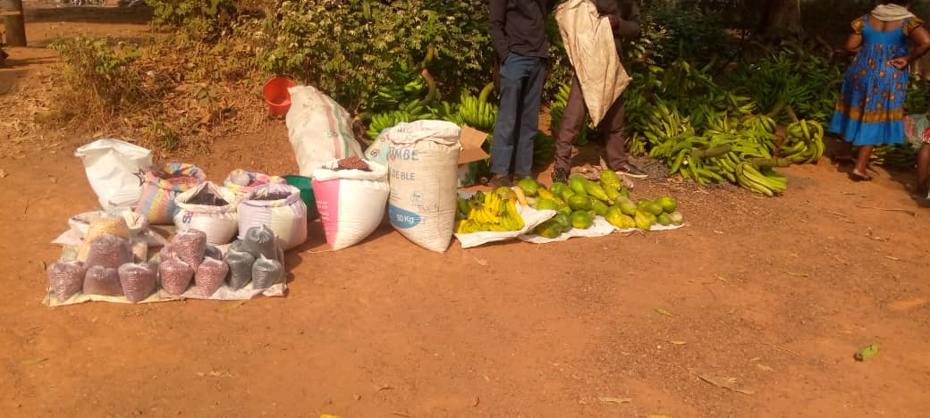 MINADER - Délégation Régionale de l’Est