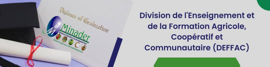 MINADER - Division de l’Enseignement et de la Formation Agricole ...